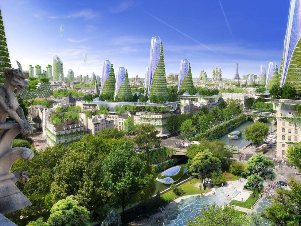 EDUVV Builds Greener Cities by Replanting Mexico's Urban Forests - The ...